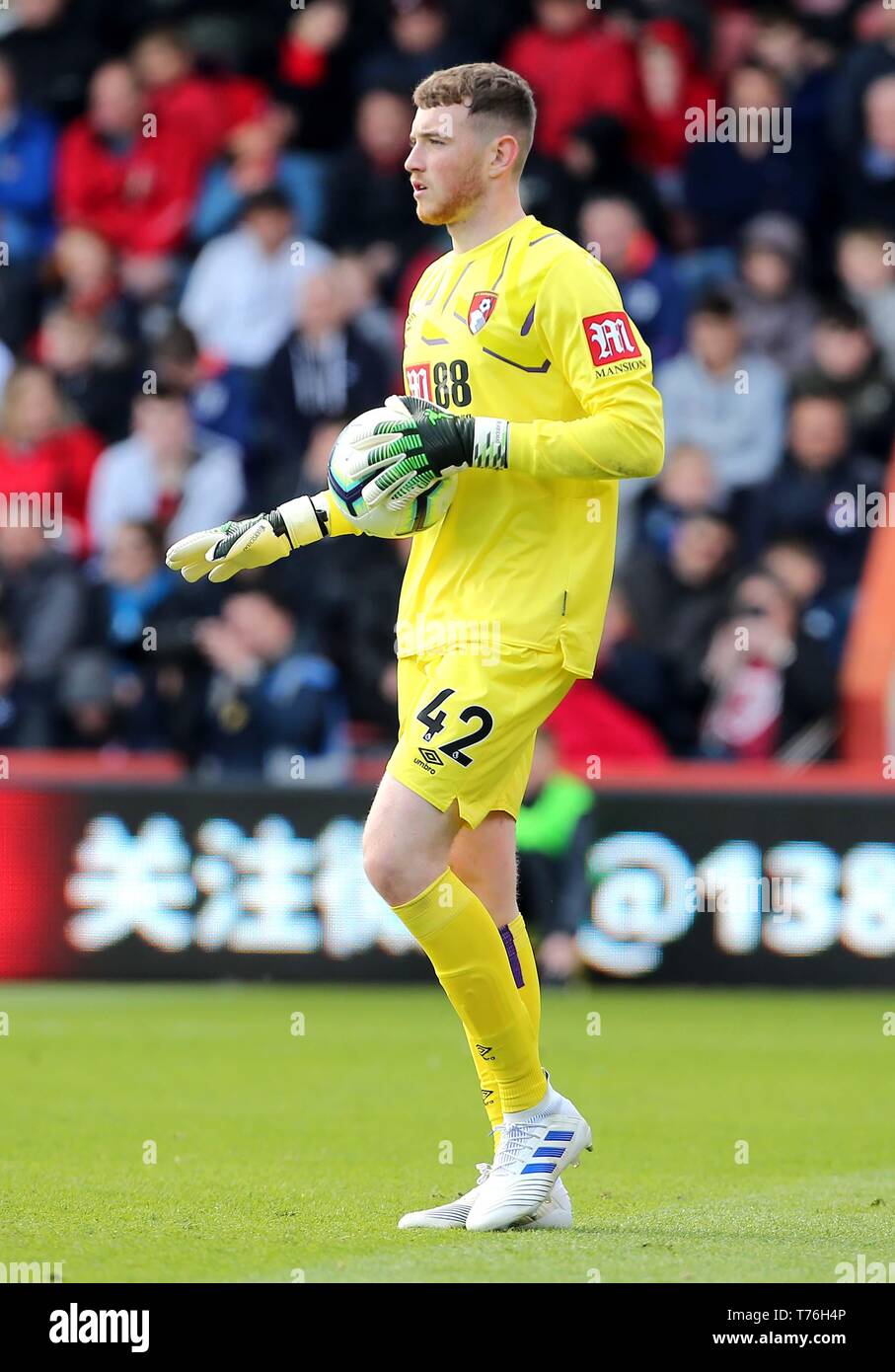 Mark Travers High Resolution Stock Photography and Images - Alamy