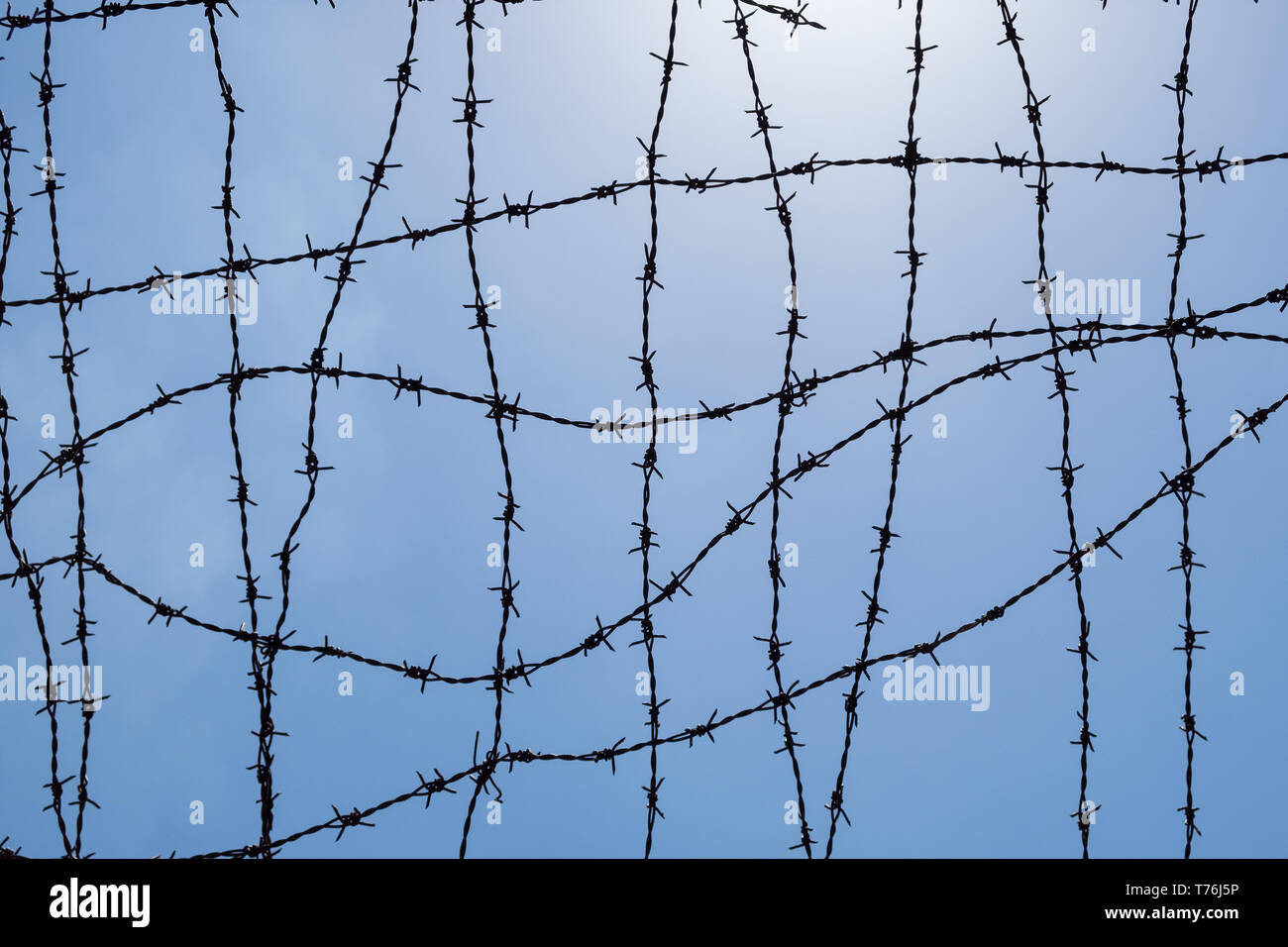 Wire mesh fence with blue sky Stock Photo - Alamy