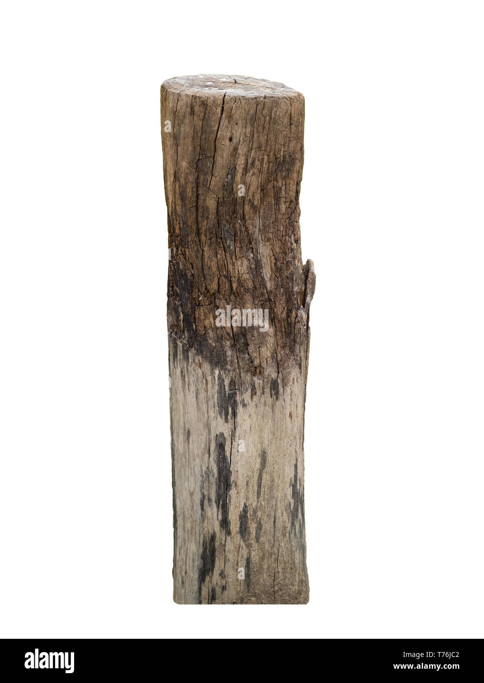 Timber stand hi-res stock photography and images - Alamy