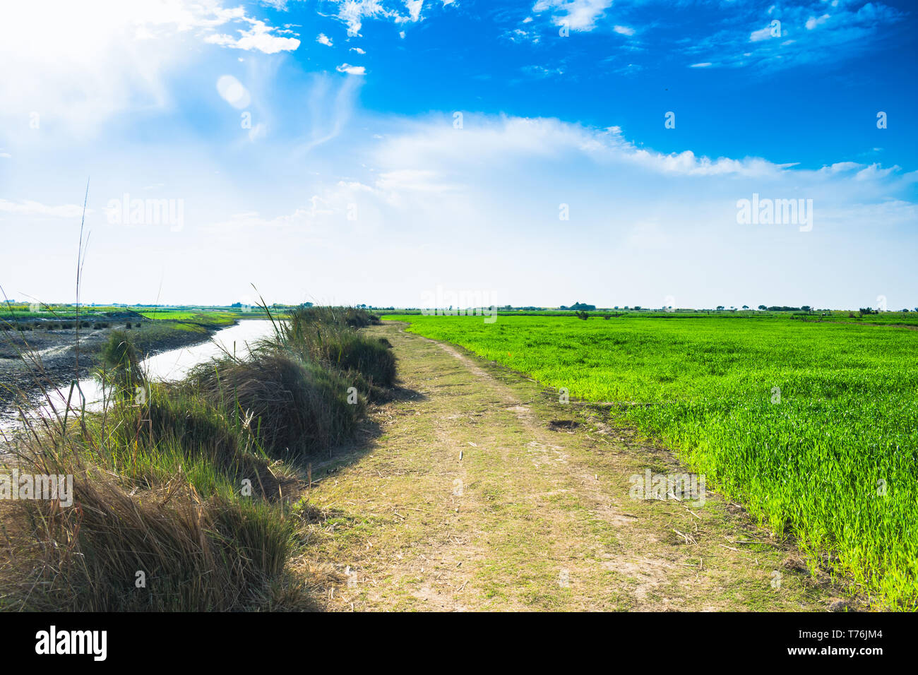 Pakistan punjab landscape hi-res stock photography and images - Alamy