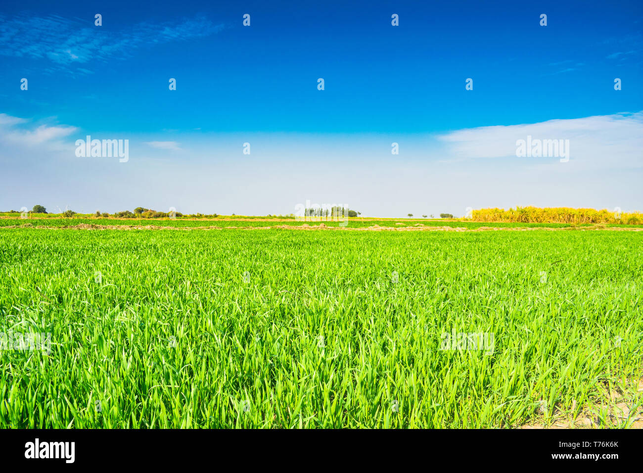 Pakistan punjab landscape hi-res stock photography and images - Alamy