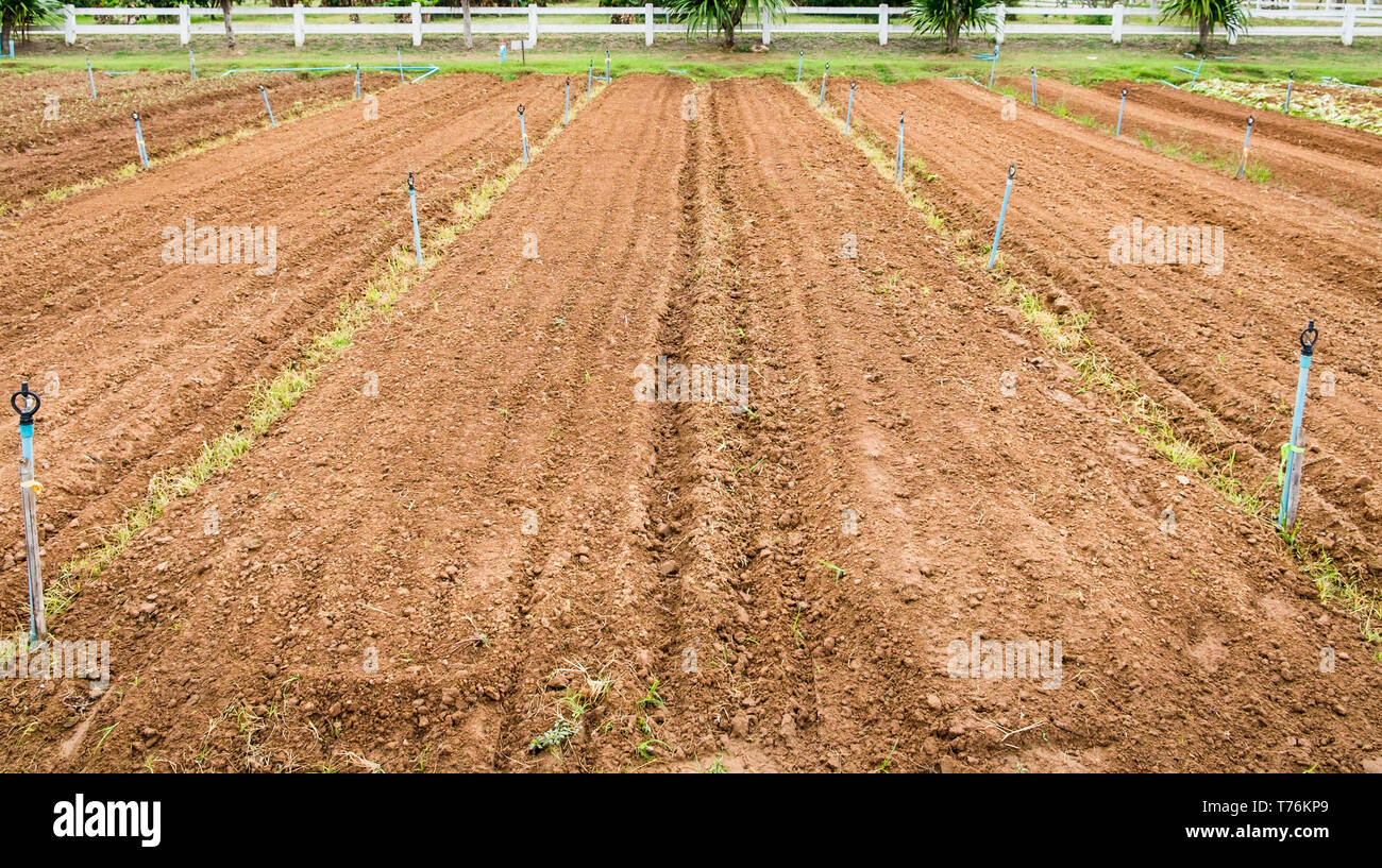 Plough field groove with springer for farming and cultivated Stock ...