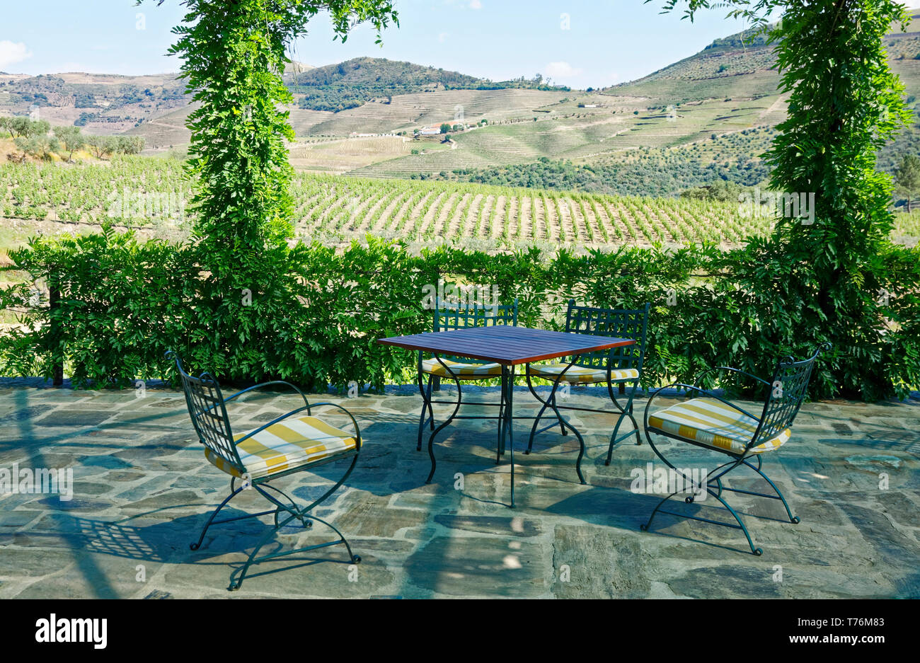 vineyard scene; shaded slate terrace; table; chairs; overlooking ...