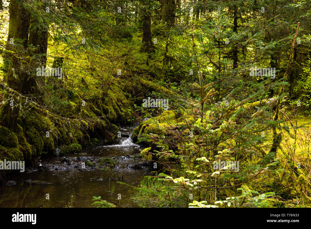 Trickles of rain hi-res stock photography and images - Alamy