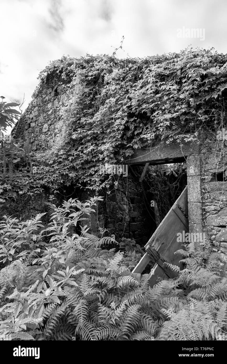 A crumbling house in Black and white in Ginetes on Sao Miguel island in ...