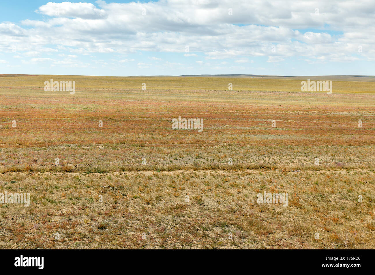 Typical Mongolian landscape, Gobi desert, Mongolia, desert landscape ...