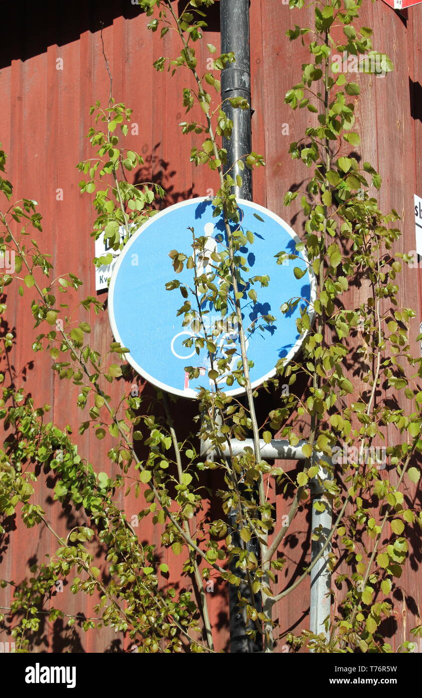 Road sign in the branches of a tree Stock Photo - Alamy