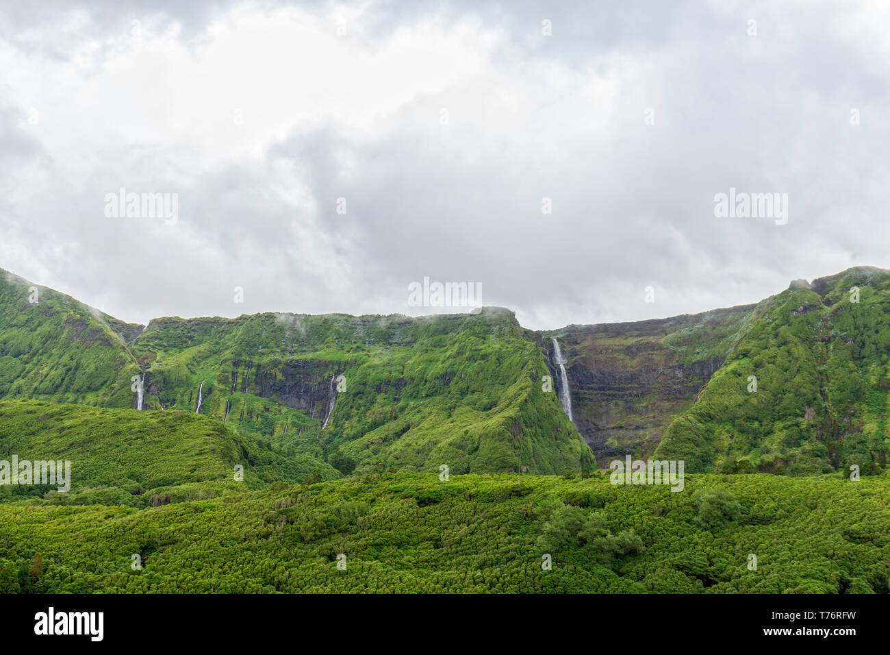 Forest around the Poco Ribeira do Ferreiro waterfalls on Flores Island ...
