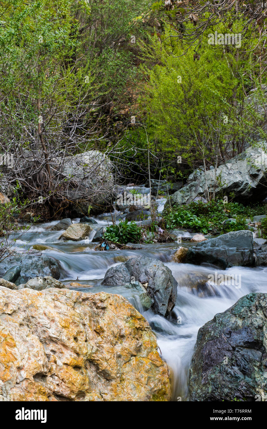 darakeh river in spring Stock Photo - Alamy