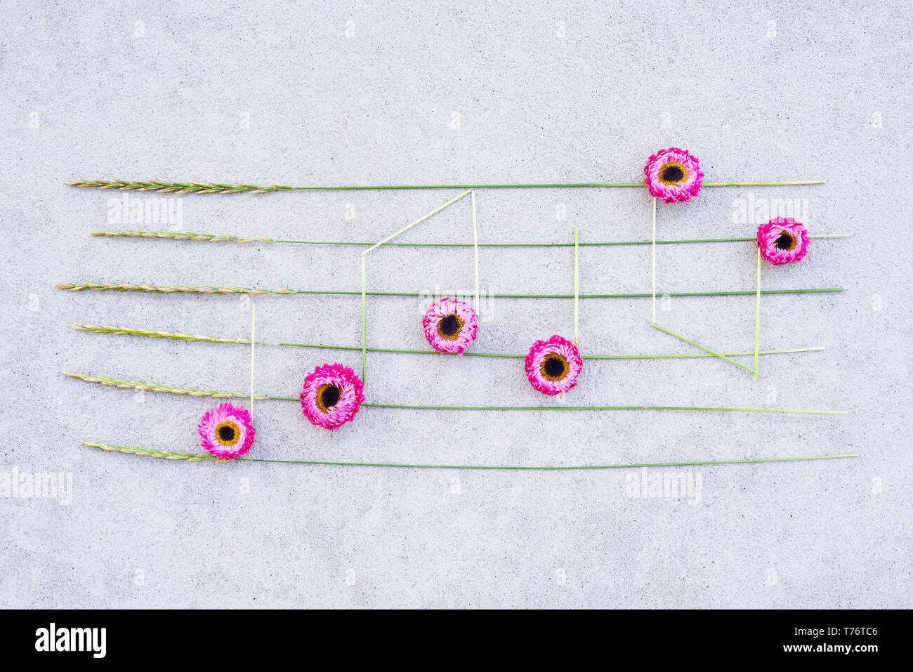 Music note grass hi-res stock photography and images - Alamy