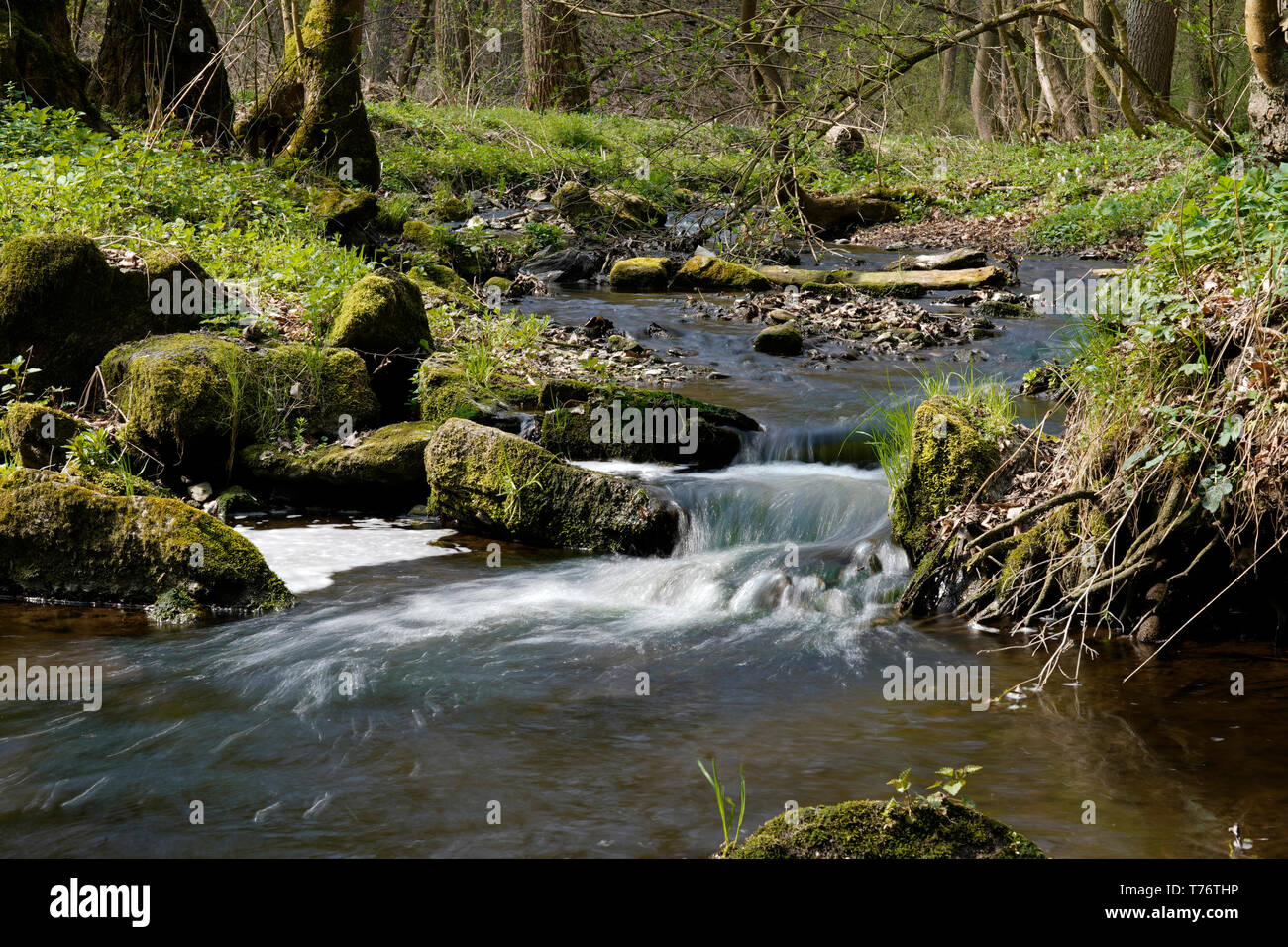 Woodland stream hi-res stock photography and images - Alamy