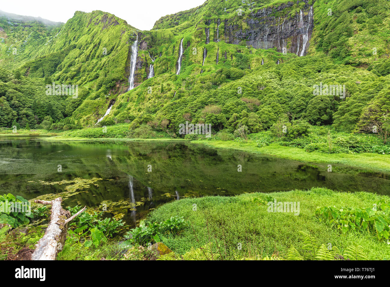 The Scenic Poco Ribeira do Ferreiro waterfalls near Fajazinha in Flores ...