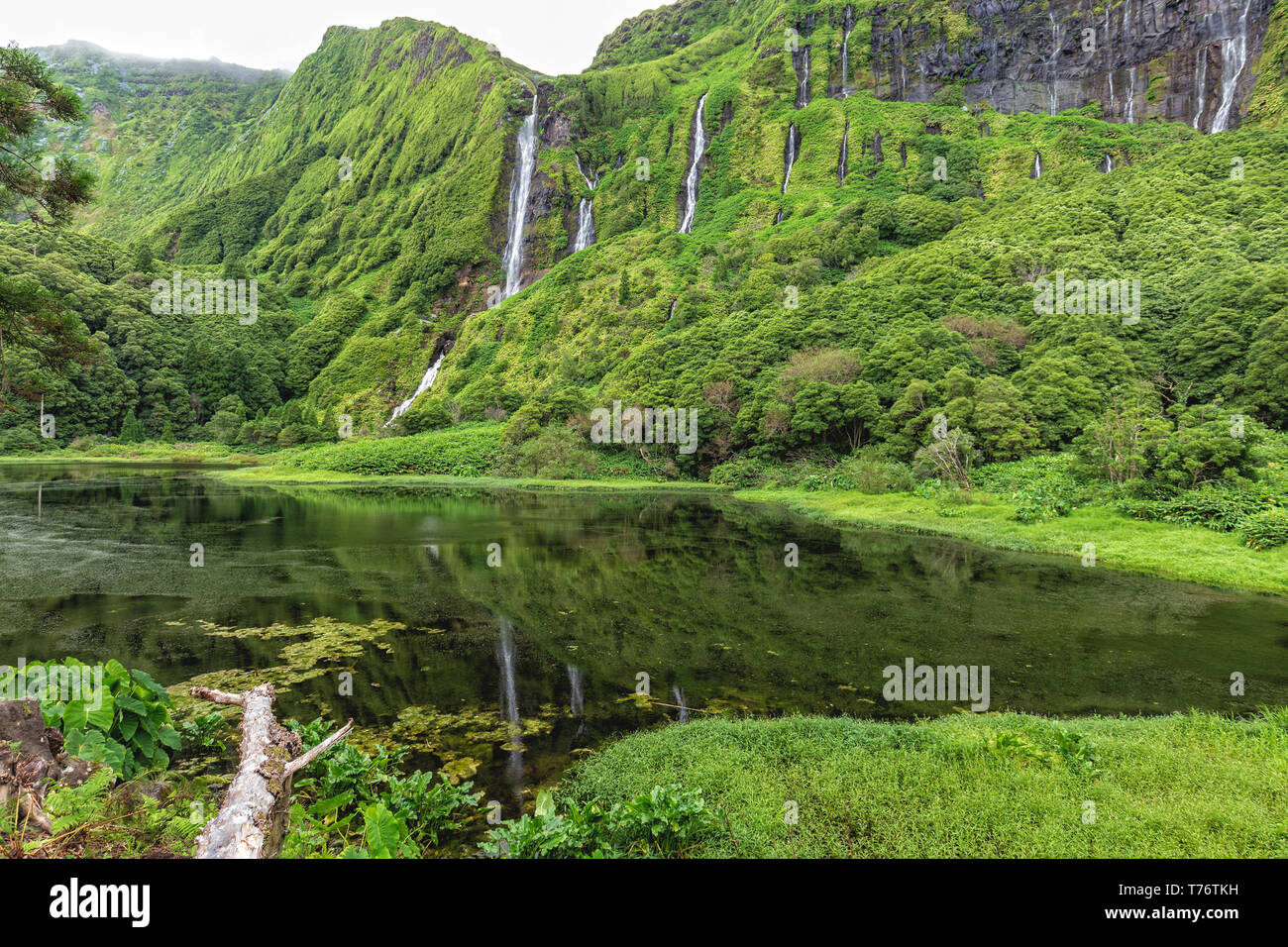 Poco ribeira do ferreiro waterfall flores island hi-res stock ...