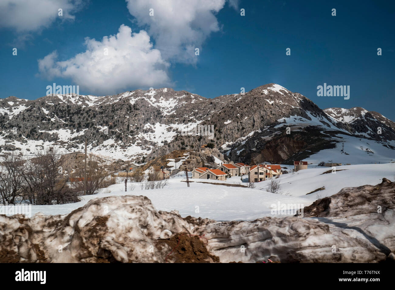 The Mount Lebanon, Lebanon Stock Photo - Alamy