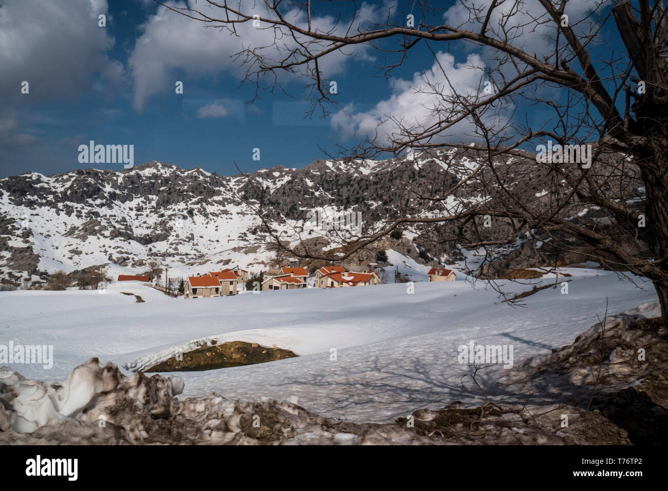 The Mount Lebanon, Lebanon Stock Photo - Alamy