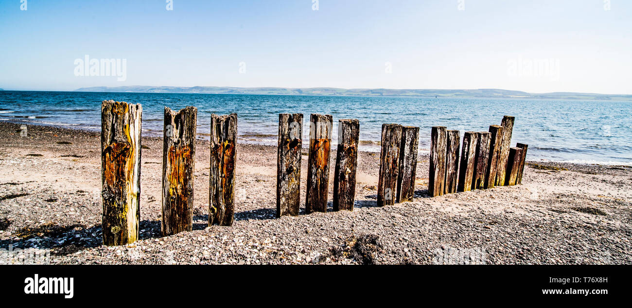 Wood Pilings on a Shore Stock Photo - Alamy