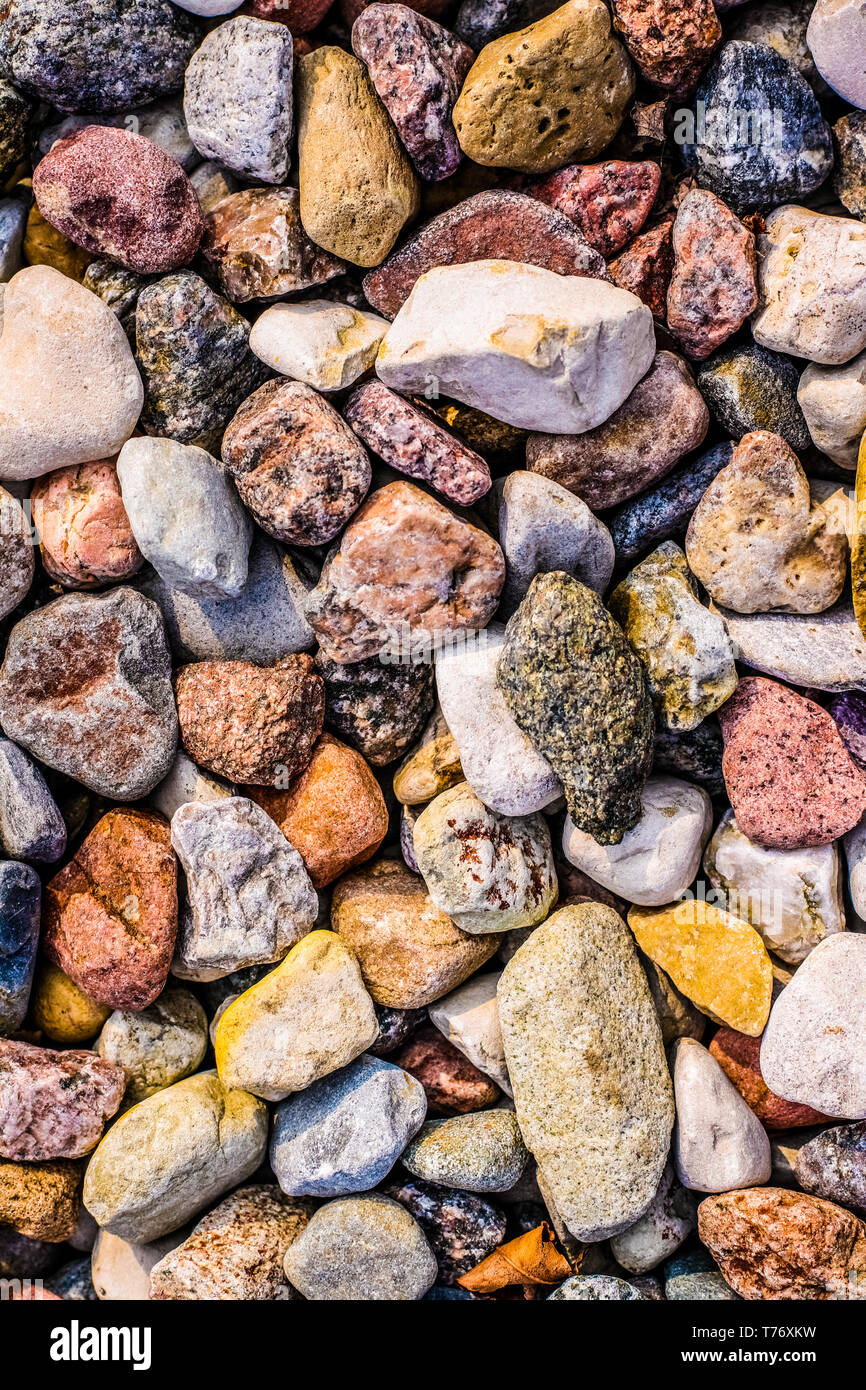 Landscape architecture, interior design and nature elements concept ...