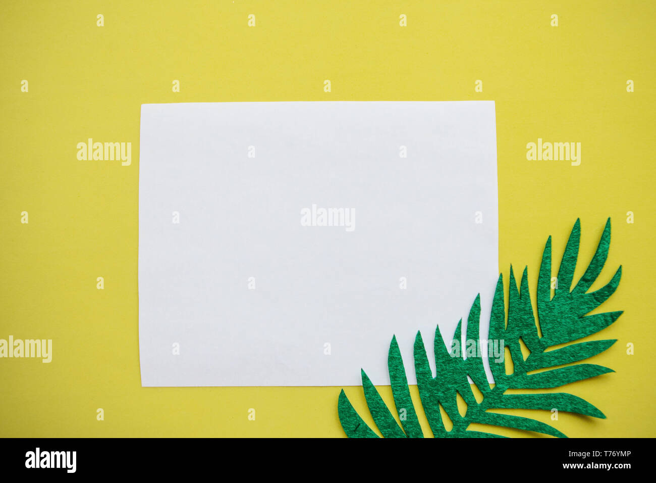 Fern sheet hi-res stock photography and images - Alamy