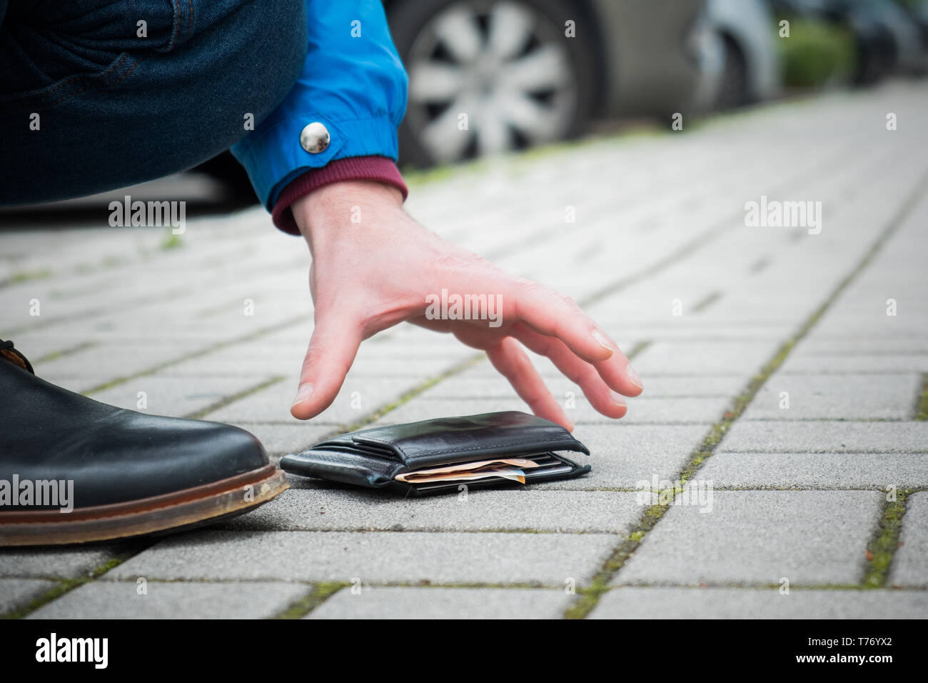 Scatterbrain High Resolution Stock Photography and Images - Alamy