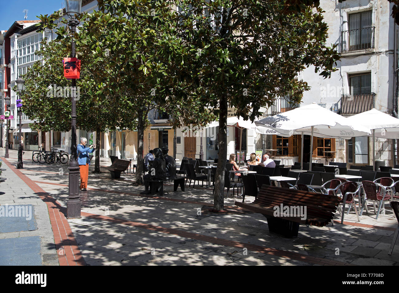 León calvo hi-res stock photography and images - Alamy