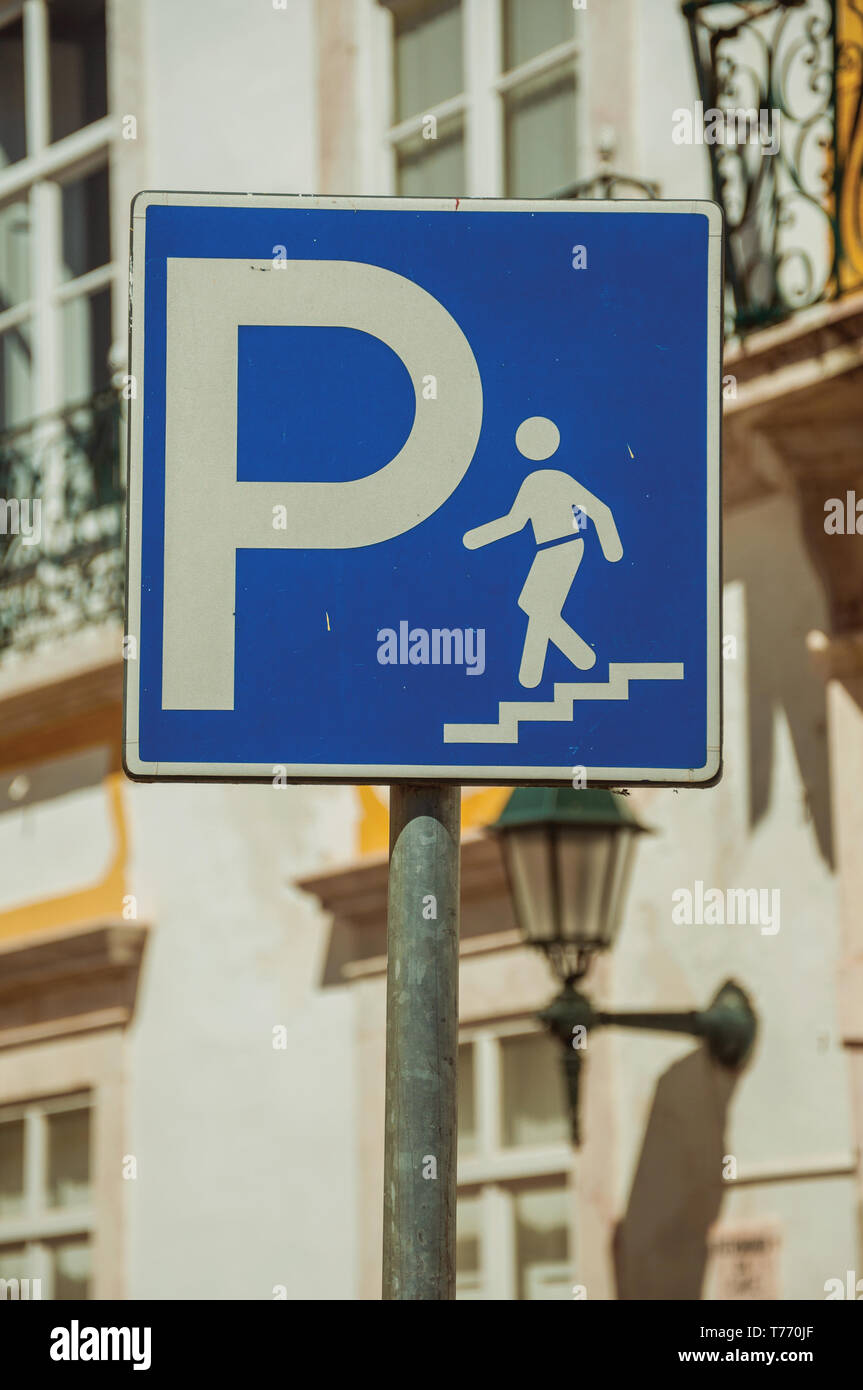 Square blue road sign indicating the access ladder for the parking ...