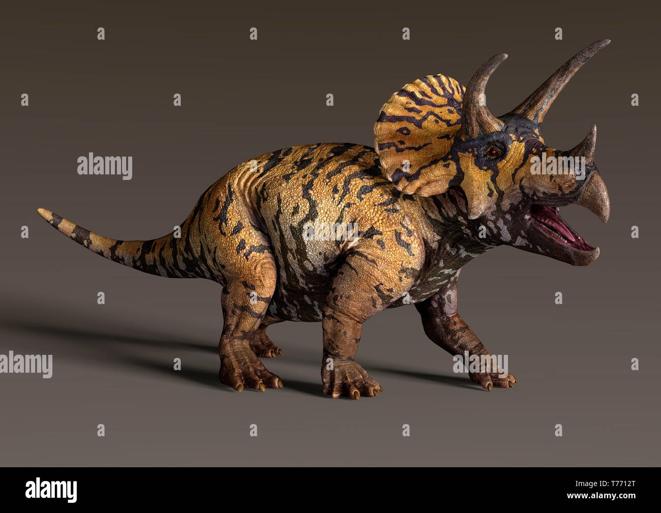 3D rendering of a dinosaur Triceratops on a dark background Stock Photo ...