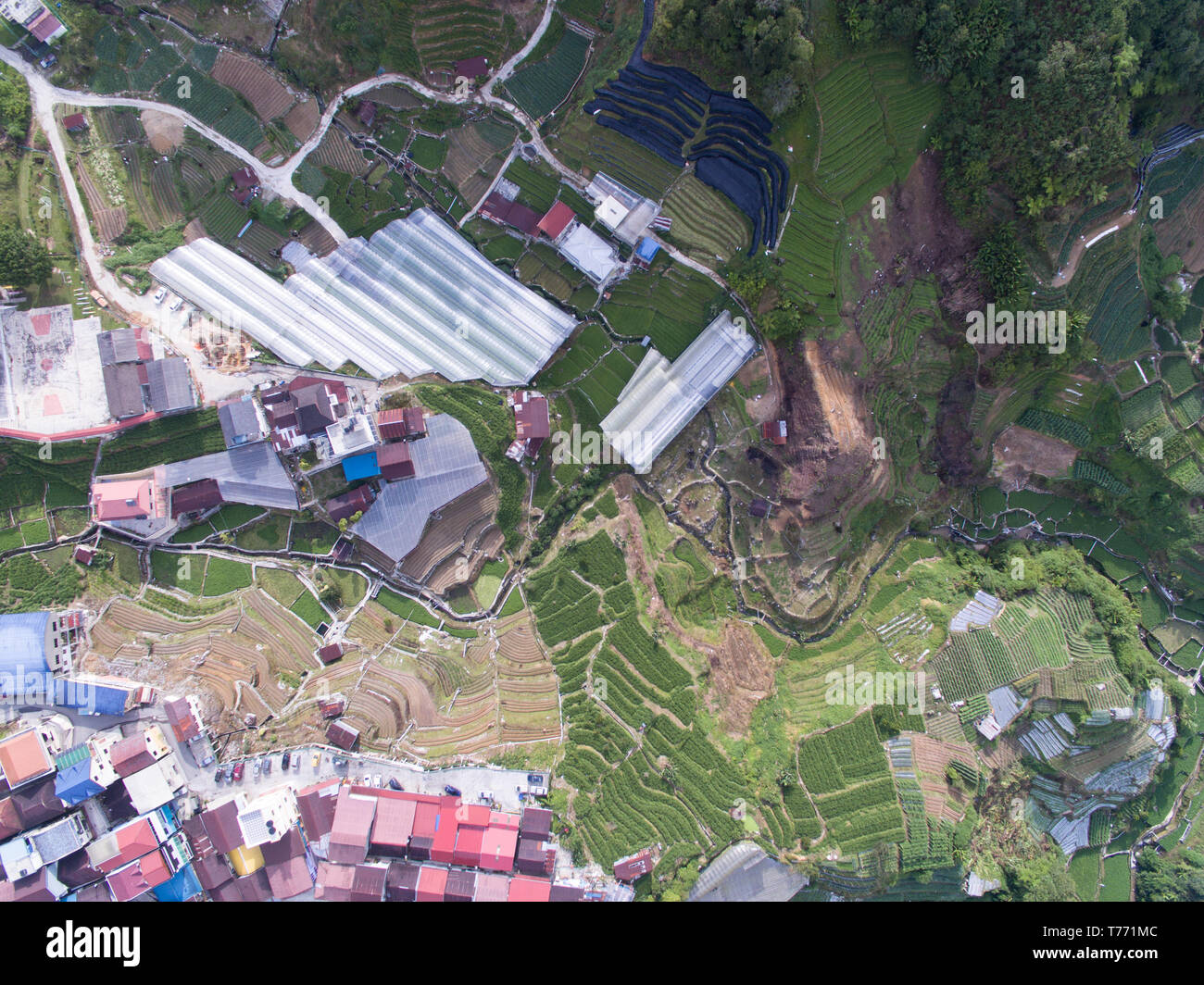 Aerial top down view of a farmland and houses in a rural countryside ...