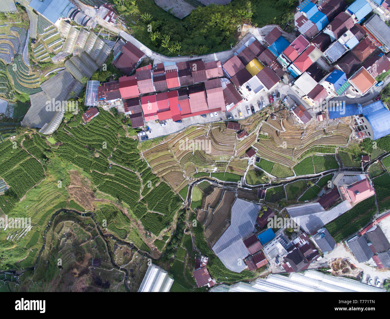 Aerial top down view of a farmland and houses in a rural countryside ...