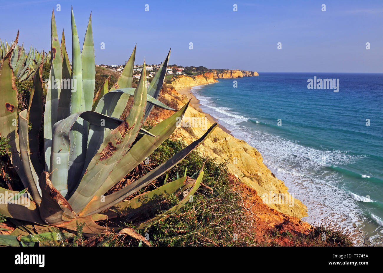 Scenic view of the beach of Algarve, Portugal Stock Photo - Alamy
