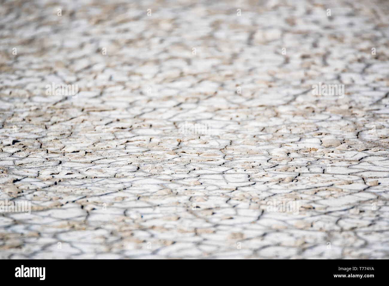 Dry muddy soil surface for background texture Stock Photo - Alamy