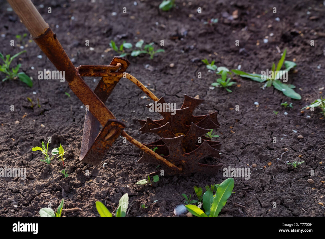 Antique cultivator hi-res stock photography and images - Alamy