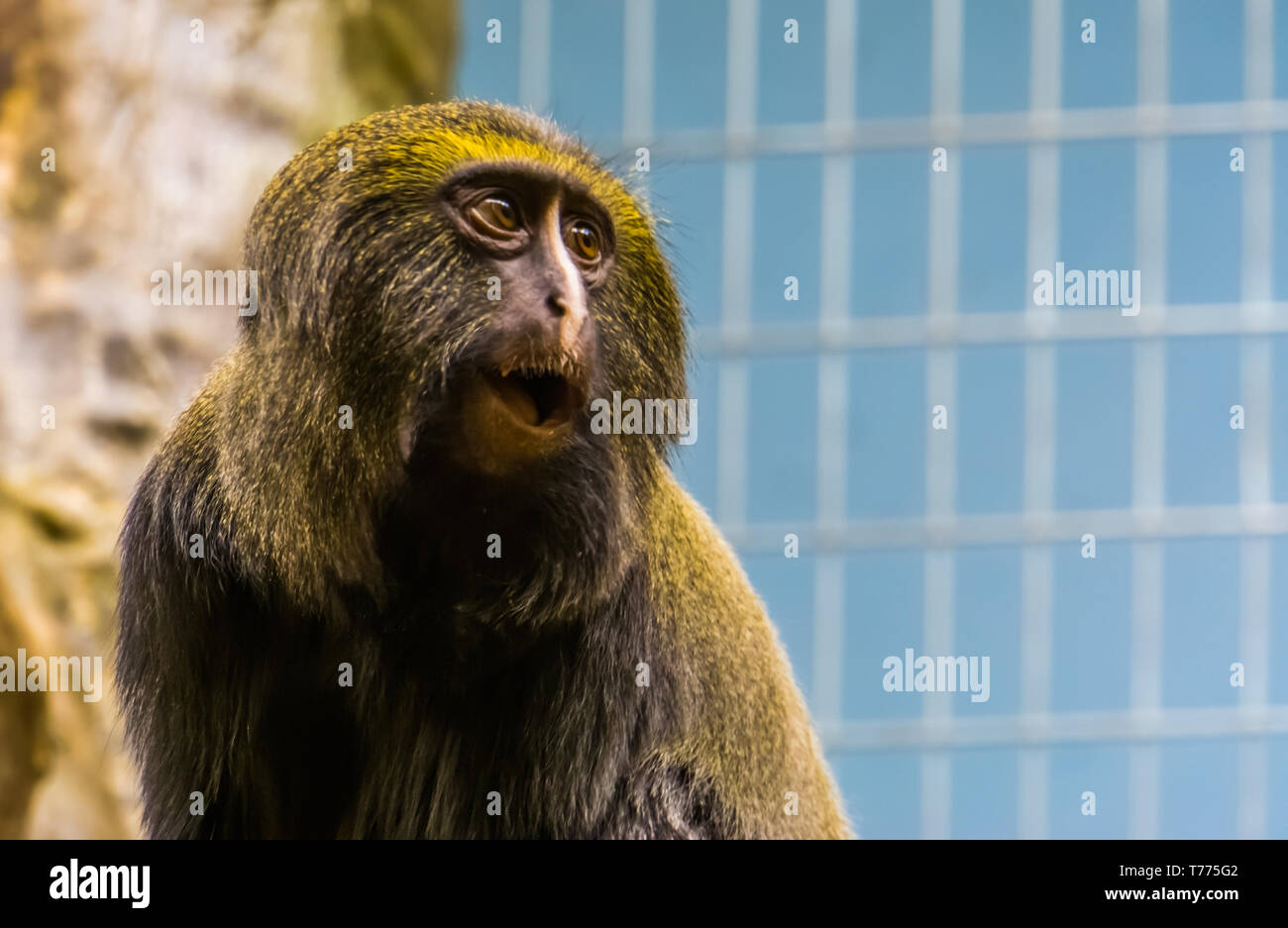 Amazed face hi-res stock photography and images - Alamy