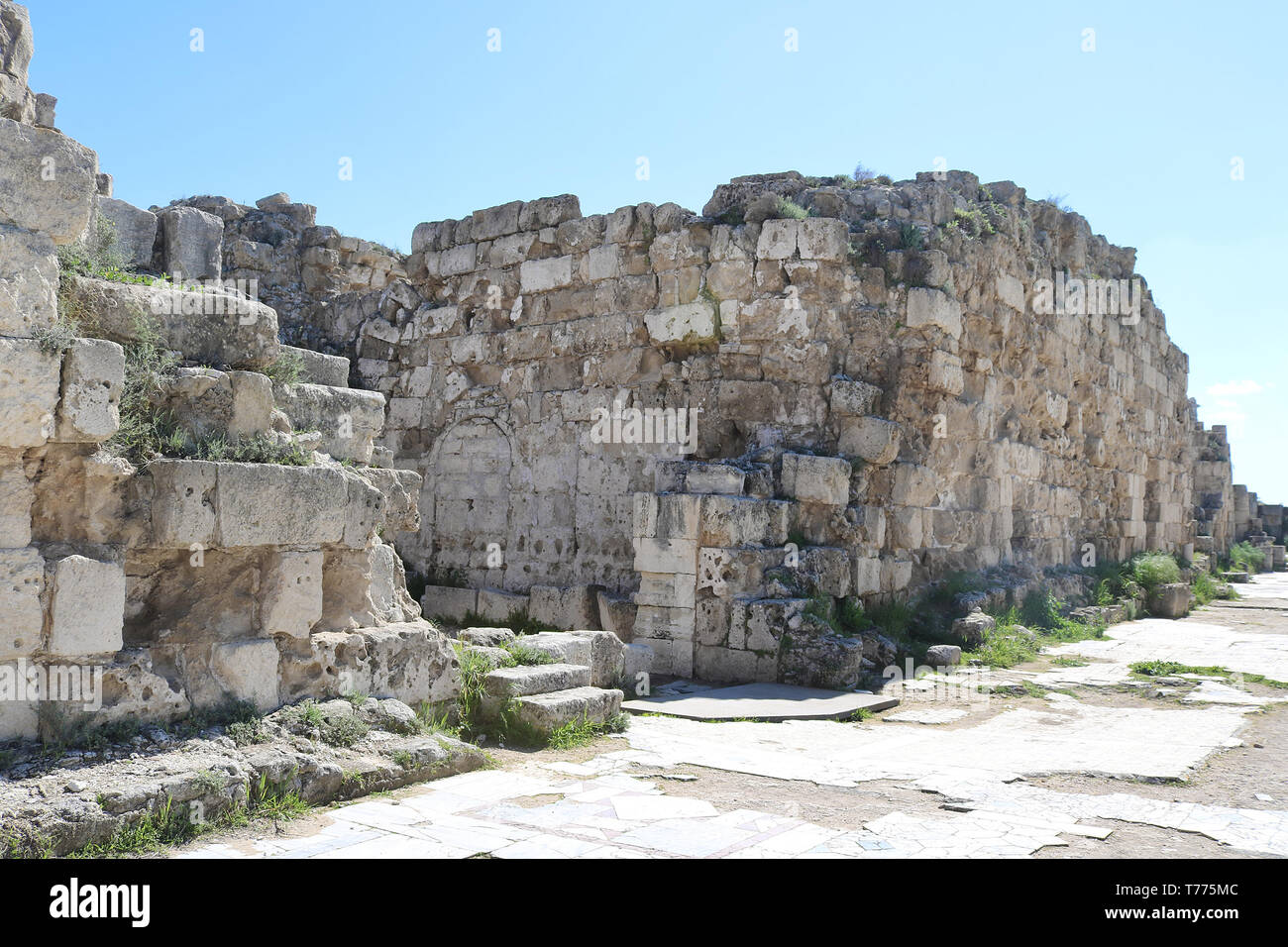 Romans ruins of the city of Salamis, near Famagusta, Northern Cyprus ...