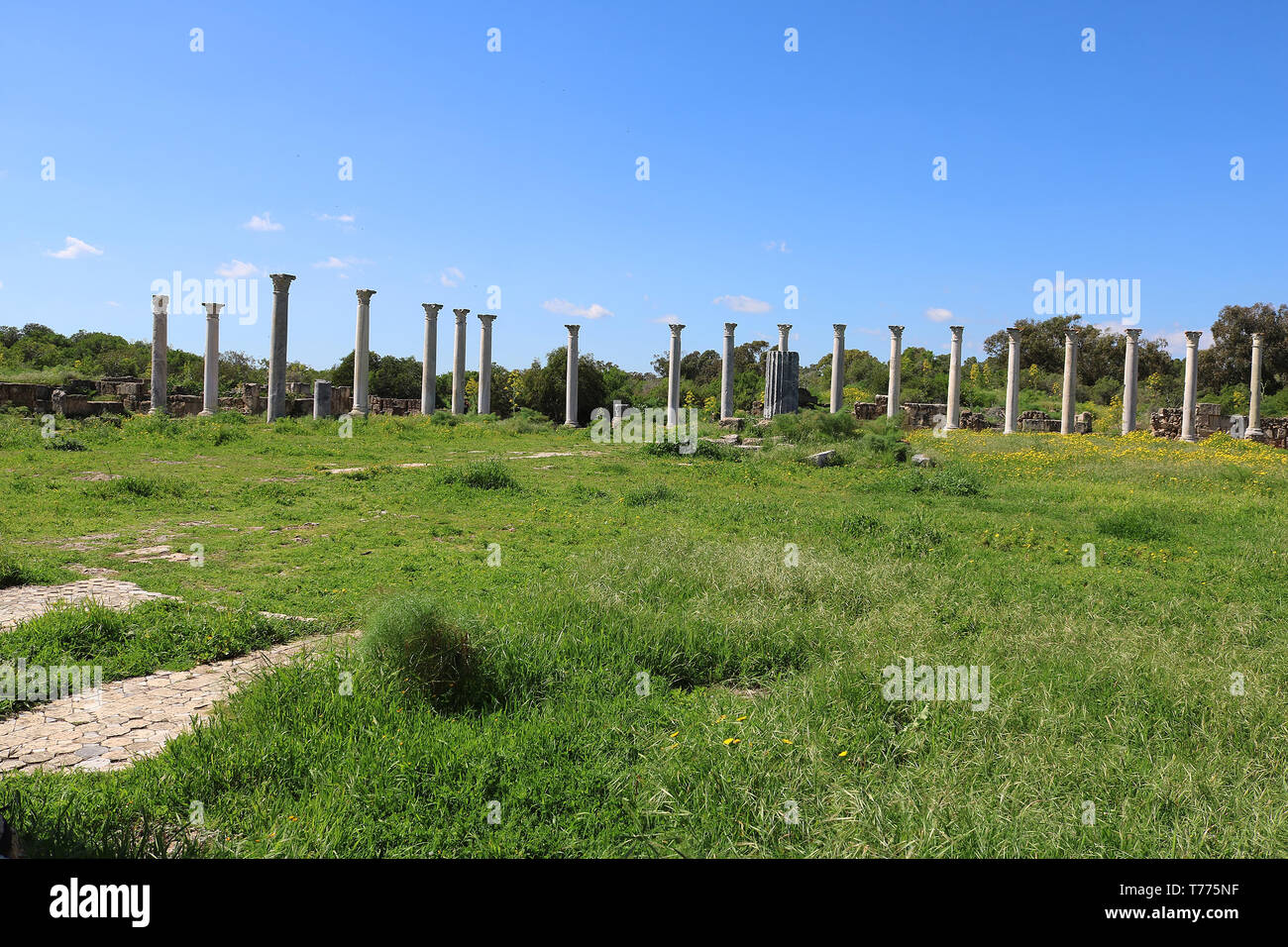 Romans ruins of the city of Salamis, near Famagusta, Northern Cyprus ...