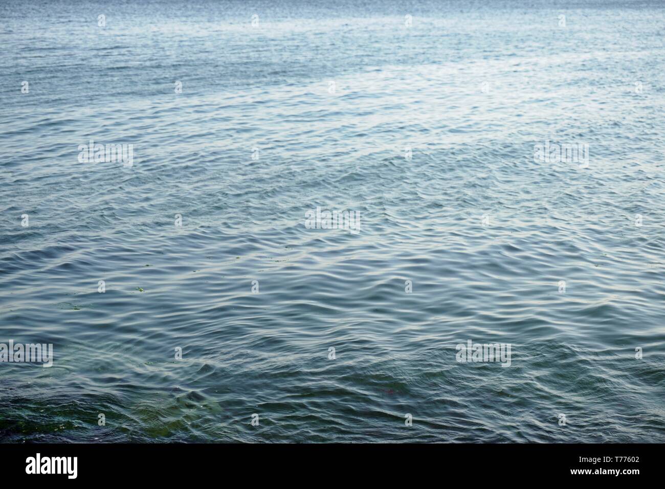 Water ripple rock hi-res stock photography and images - Alamy