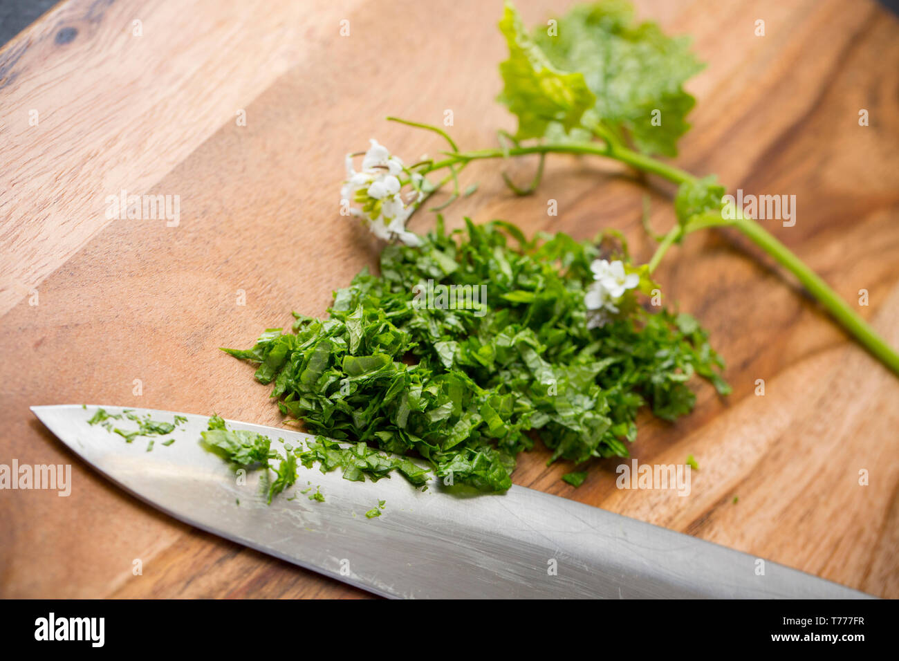 Jack by the hedge chopping board hi-res stock photography and images ...