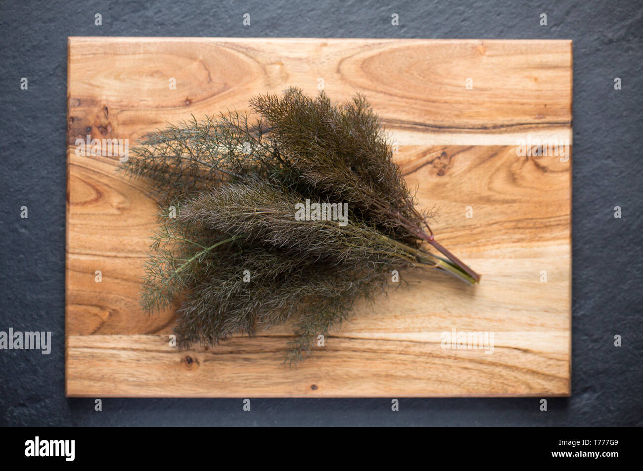Sprigs of bronze fennel, Foeniculum vulgare purpureum, from a plant ...