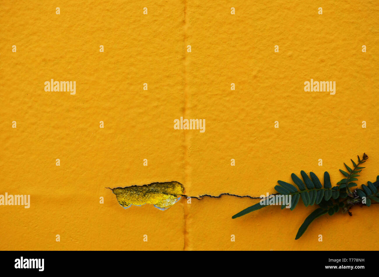 Yellow wall abstract wallpaper horizontal background Stock Photo - Alamy