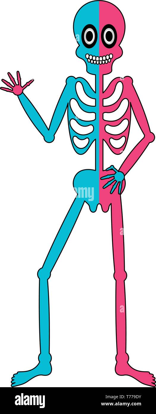 Isolated happy human skeleton cartoon image Stock Vector Image & Art ...