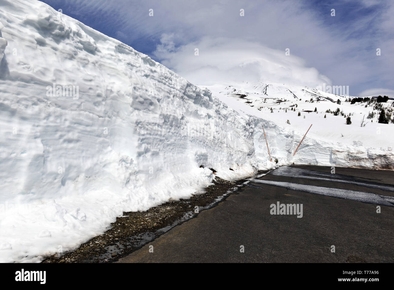Snow covered terrain on Mount Hood, a volcano in the Cascade Mountains ...