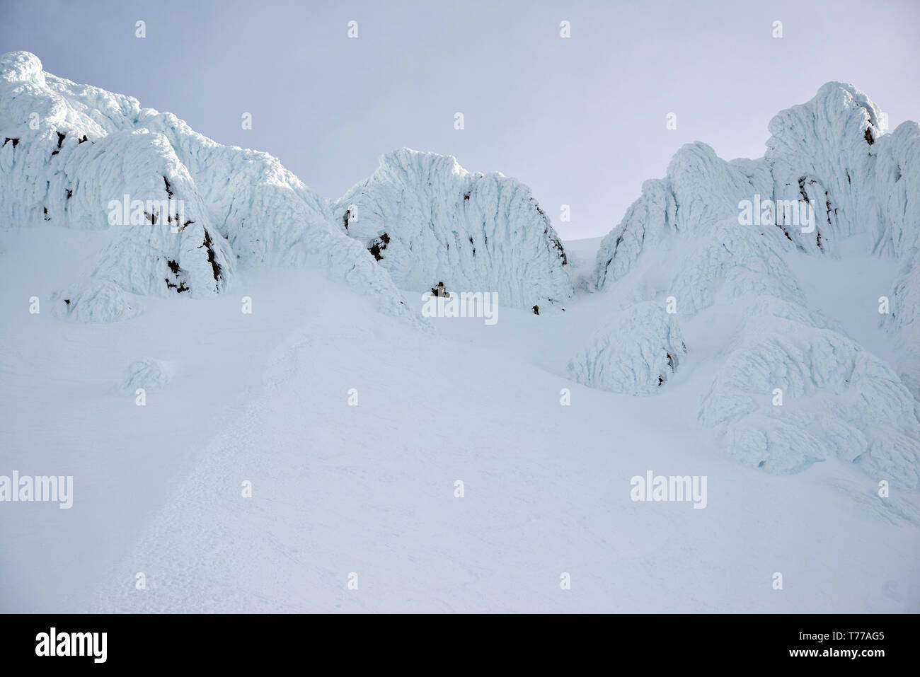 Snow covered terrain on Mount Hood, a volcano in the Cascade Mountains ...