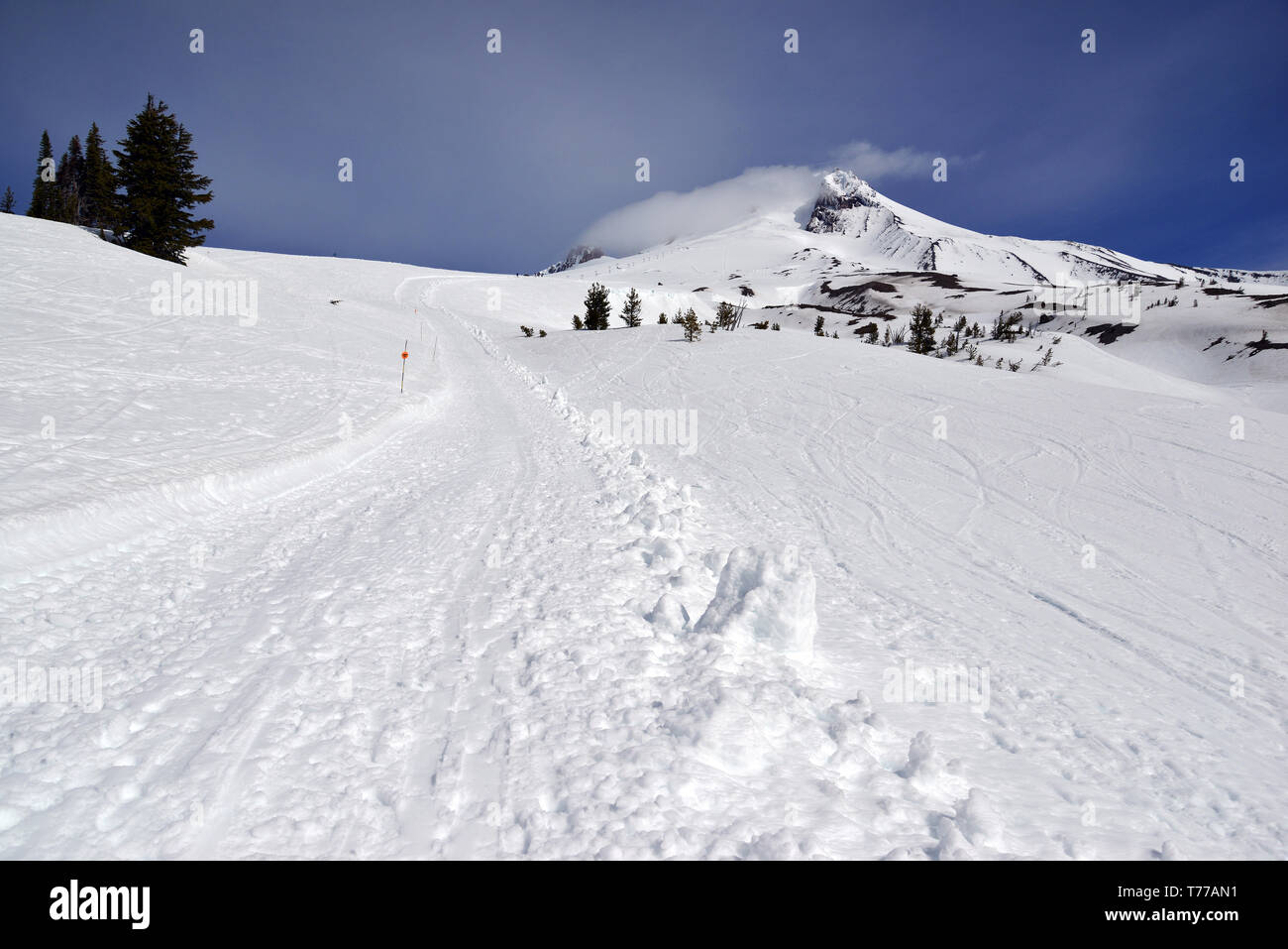 Snow covered terrain on Mount Hood, a volcano in the Cascade Mountains ...