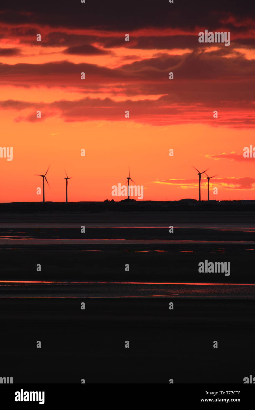 Barrow hill nature reserve hi-res stock photography and images - Alamy