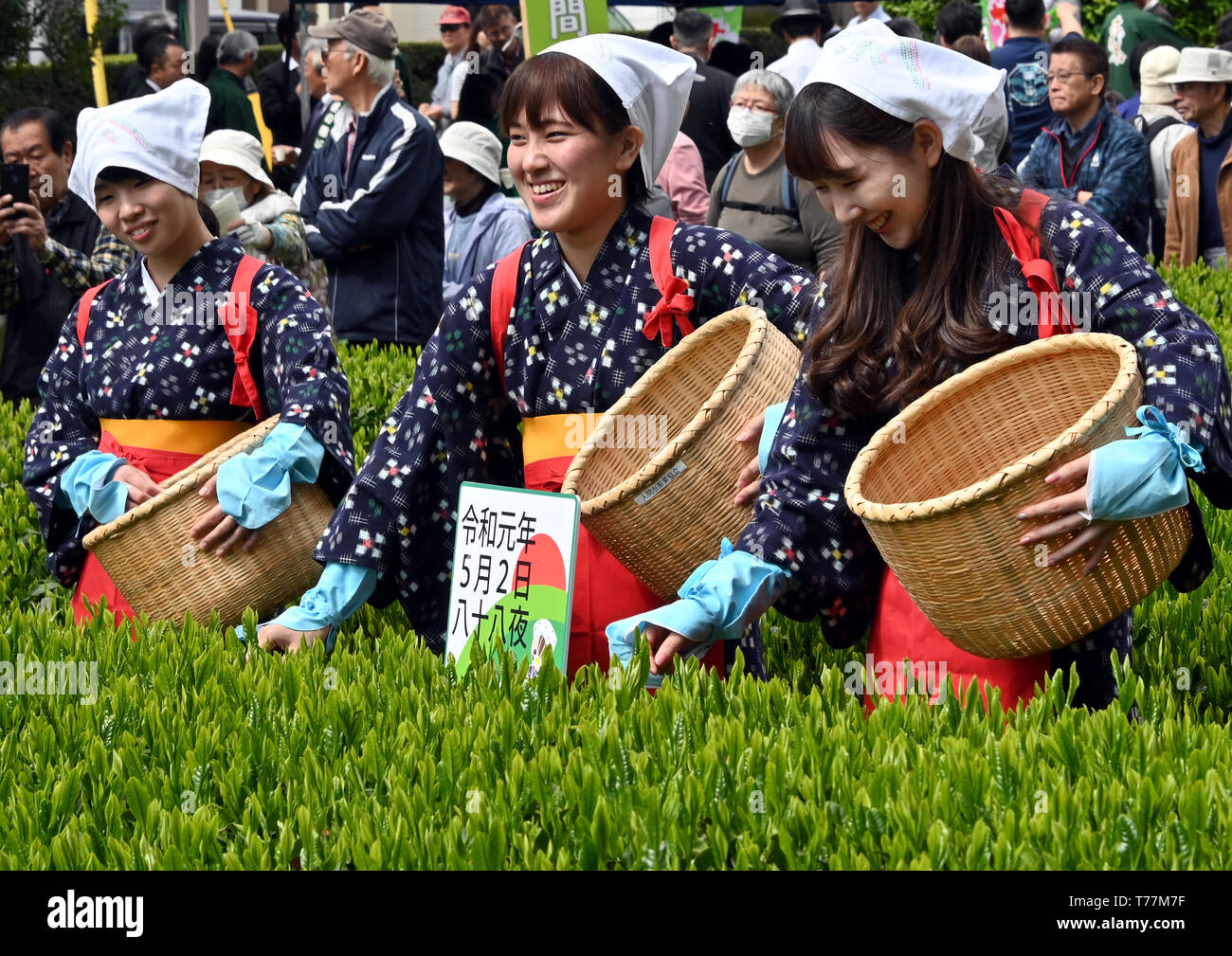 Sayama tea hi-res stock photography and images - Alamy