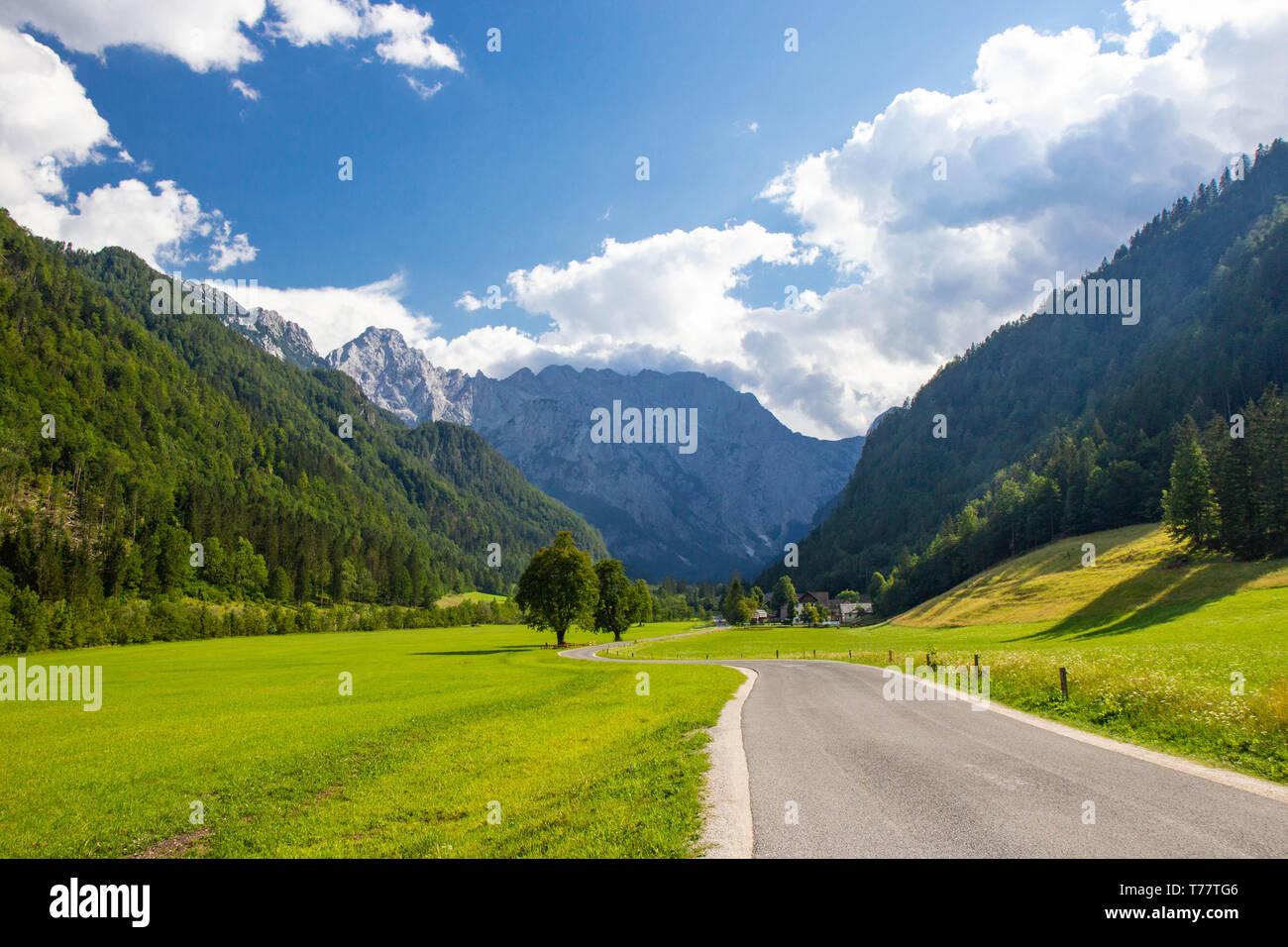 Summer View of The Logar Valley in Kamnik Mountains, Slovenia Stock ...