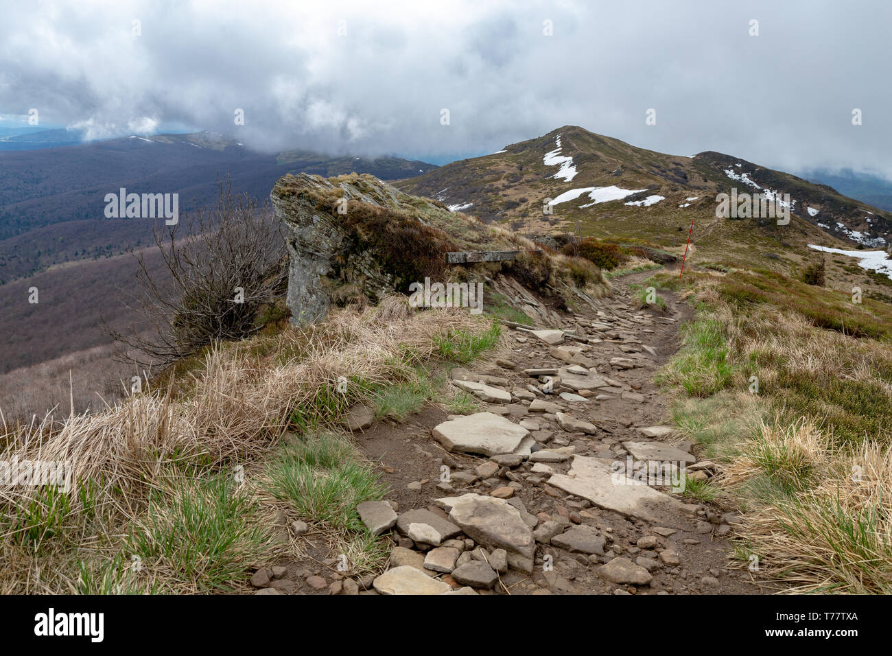 Empty trail in the mountains of central europe. A path leading high in ...