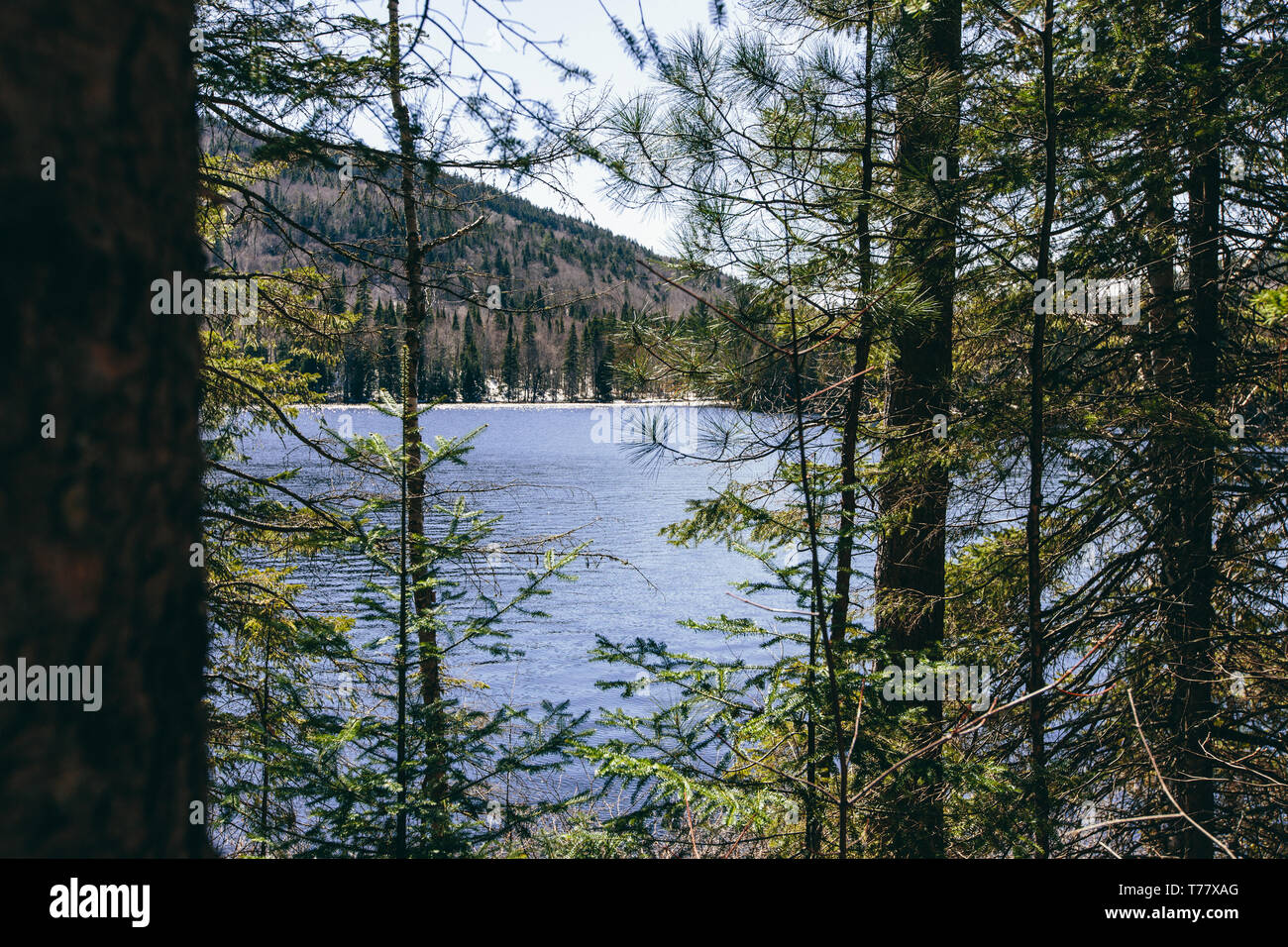 Photography landscape - Travel in Quebec Stock Photo - Alamy