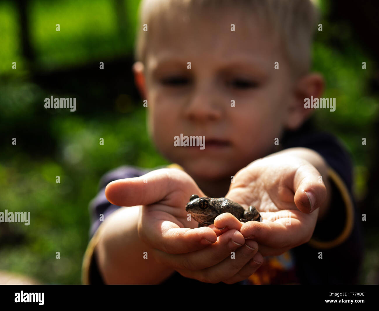 Boy with frog hi-res stock photography and images - Alamy