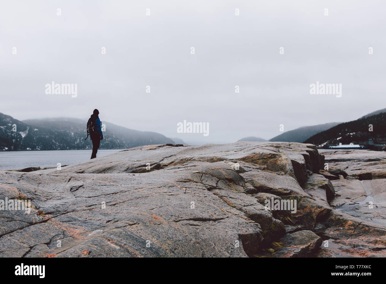 Environnement photos hi-res stock photography and images - Alamy