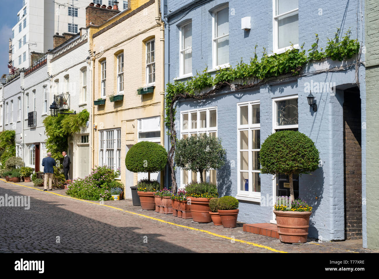 Colourful Houses and small trees and shrubs in containers in Princes ...